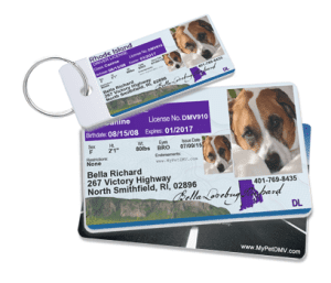 Pet Drivers License ID Tags - MyPetDMV - Pet Driver's License and ID ...