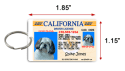 Pet ID Tag Sizes - MyPetDMV