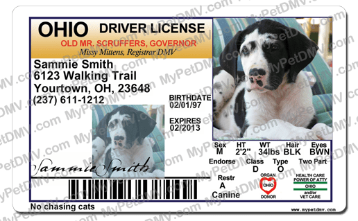 Pet Licenses for State Ohio - MyPetDMV.com