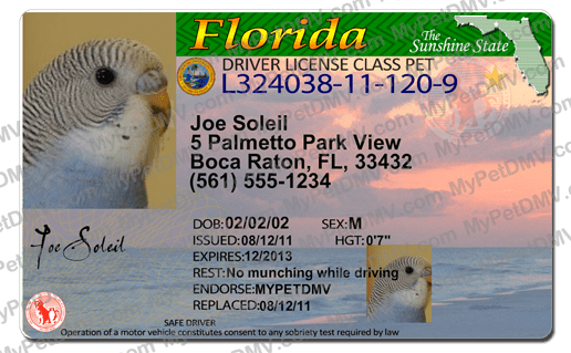 Pet Licenses for State Florida - MyPetDMV.com