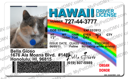 State-Specific Pet Licenses | MyPetDMV - MyPetDMV.com