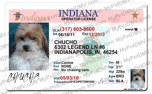 Pet Licenses for State Indiana - MyPetDMV.com