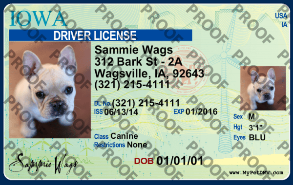 Pet Licenses for State Iowa - MyPetDMV