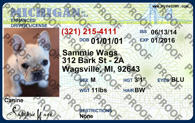 Pet Licenses for State Michigan - MyPetDMV.com