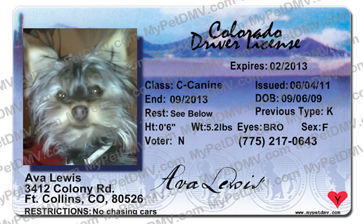 Pet Licenses for State Nevada - MyPetDMV.com