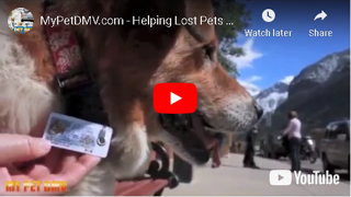 MyPetDMV - Official Pet Driver's License Tag for all 50 States