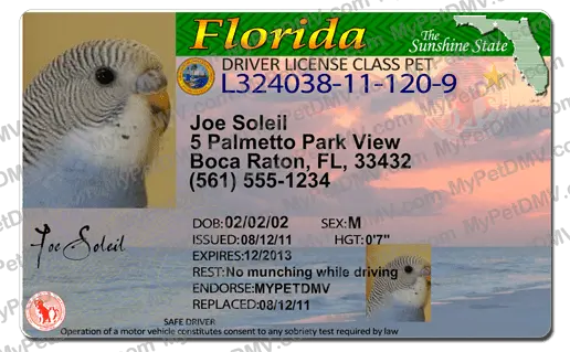 Pet Licenses for State Florida - MyPetDMV