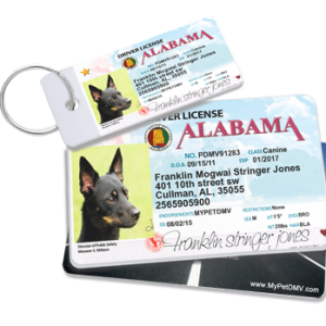 Personalized Pet ID Tags