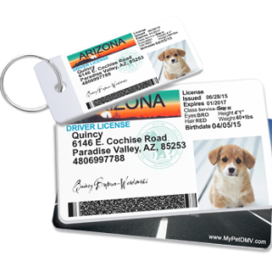 Personalized Pet ID Tags