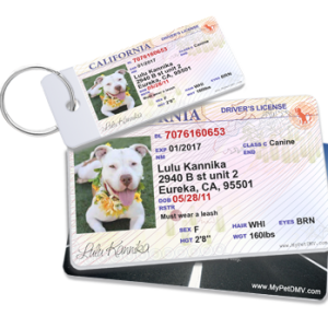 Personalized Pet ID Tags