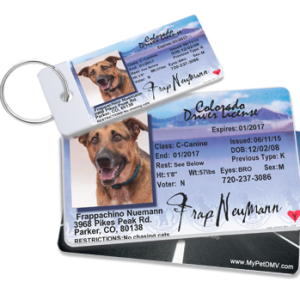 Personalized Pet ID Tags