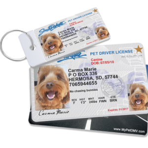 Personalized Pet ID Tags