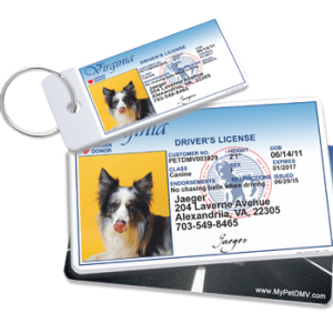 Personalized Pet ID Tags
