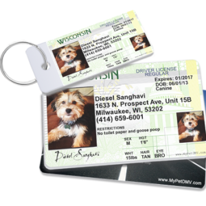 Personalized Pet ID Tags